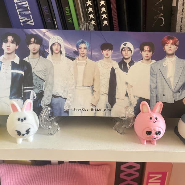 Stray Kids Skzoo Mini 3D Print Figures - Etsy