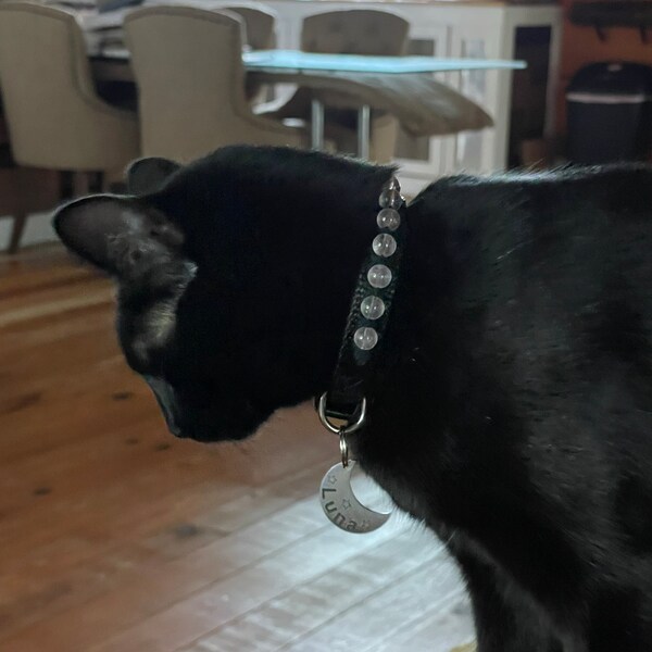 Jade Dog Collar - Crystal Dog Collar - Crystal Healing Collar - Dog ...