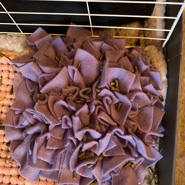 NEW! Mystery Box | for Guinea Pigs and Rabbits | Oat Free, Natrual ...