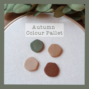 Rainbow Collection / Polymer Clay Colour Mixing / FIMO Colour | Etsy