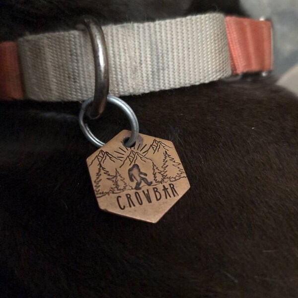 Mini Dog Tag for Dogs, the Bean, Dog Tag, Kidney Bean, Personalized ...