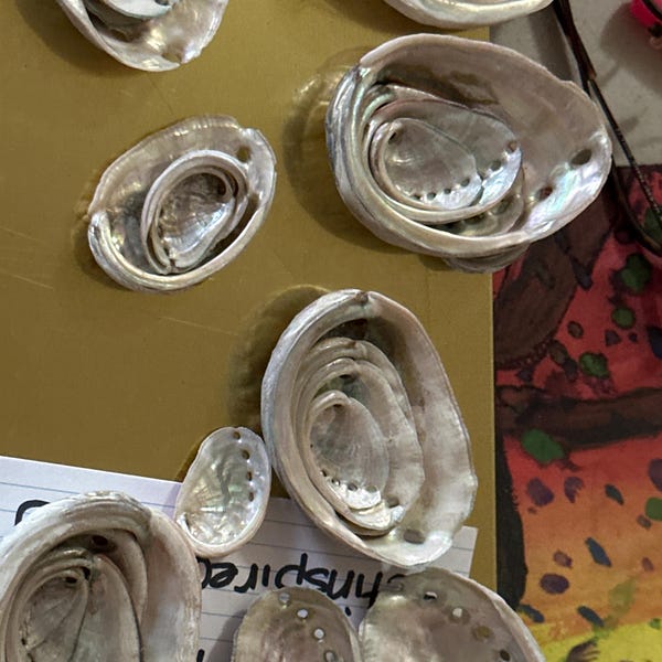 Bulk Polished Red Abalone Shells (25) -size 1"- 3" Seashells, Jewelry ...