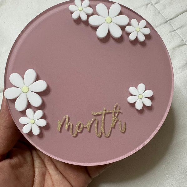 Acrylic Baby Milestone Marker, Baby Milestone Discs, Interchangeable ...