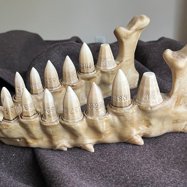 Dragon Teeth Dice Set - Etsy