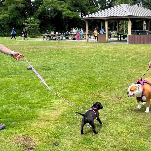 Vintage New Crown-ette Power-net Lace and Satin Shaping Slip Snow White ...