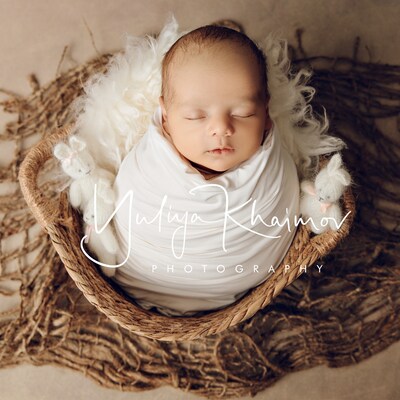 Cream Rose Newborn Bed Digital Backdrop Newborn Girl Floral - Etsy