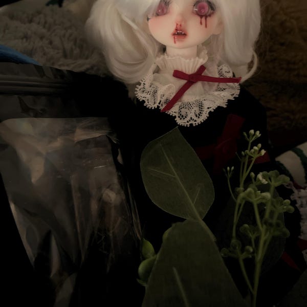 Magical Fairy Dust Spelled by REAL FARIES Bring More Fairies to Your ...