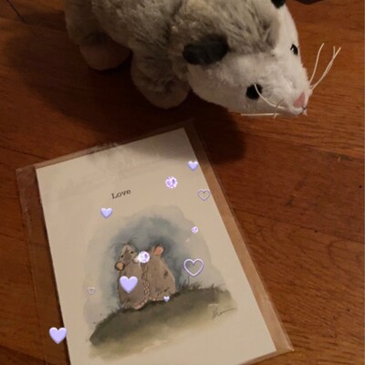 Sticker: Vintage Rainbow Possum Opossum Planner Craft Vinyl - Etsy