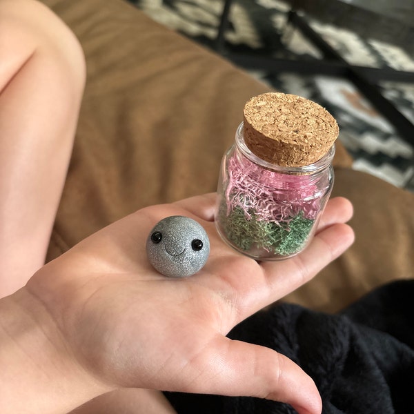 Adopt a TINY PEBBLE PAL W/ Crystal Moss Cork Jar Home Handmade Tiny ...