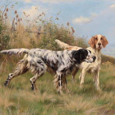 English Setter, English Setter Shirt, Llewellin Setter, English Setter ...