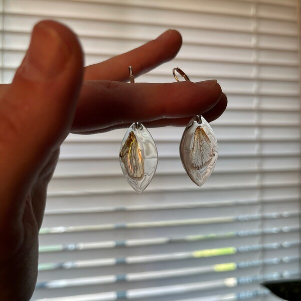 Cicada Art, Sacred Geometry Wall Art, Brood X, Insect Art, Fairycore ...