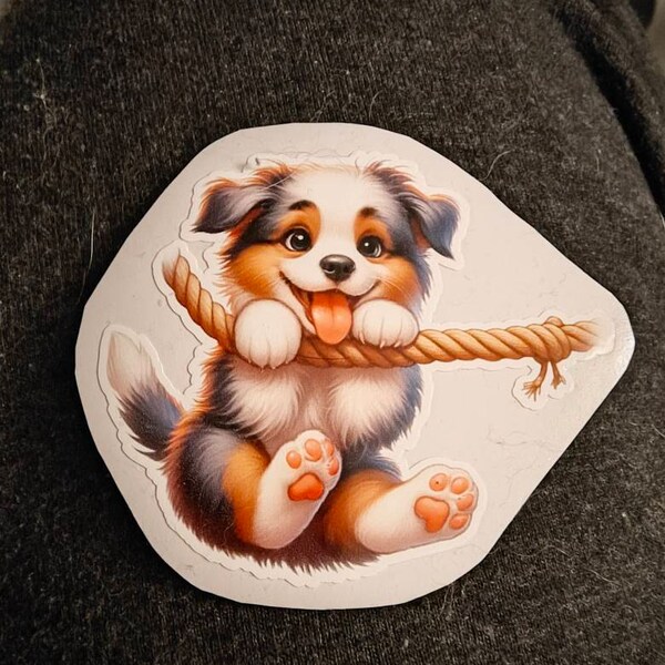 Sticker Pomsky Dog Car Sticker Weatherproof Outdoor Vinyl Sticker ...