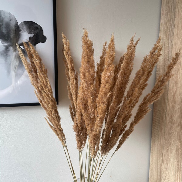 6" Juniper Sticks , Juniper Sticks, Juniper Scent Sticks, Juniper ...