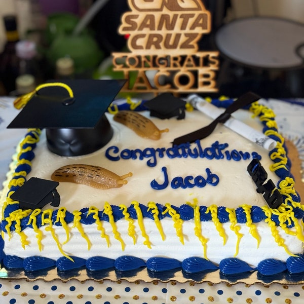 Personalized Cake Topper, Graduation Gift, Any College, Any University ...