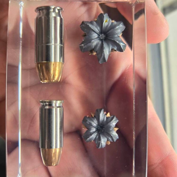 Desktop Bullet Paperweight - "the Matrix" - 5.56mm/.223 Caliber - AR15 ...