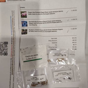 Salvia Blue Queen Seeds USA Flower Seeds Heirloom NJ Grower See My ...