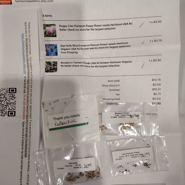 Hollyhock Indian Spring Mix Seeds Heirloom USA NJ Grower See My Store ...