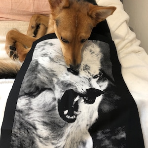 Fall of Efrafa Enamel Pin Watership Down Rabbit Black Rabbit - Etsy