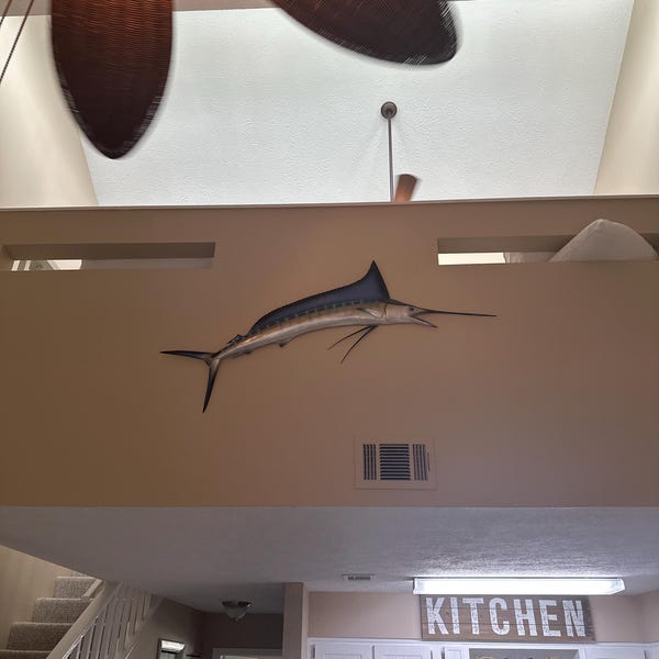 Largemouth Bass Half-side Fish Mount 28'' - Etsy