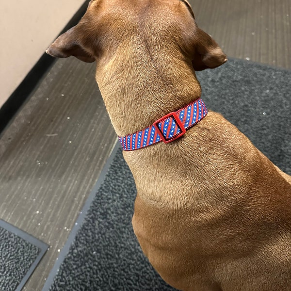 Seashell Dog Collar and optional Leash Set Girl Dog Collar With ...