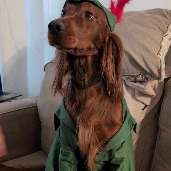 Peter Pan Dog Halloween Costume, Pet Peter Pan Costume, Peter Pan Dog ...