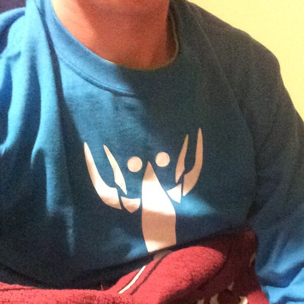 Link's Pajamas Long Sleeve - Legend of Zelda: the Wind Waker - Etsy