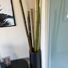 2" Fresh Cut Bamboo - Choose From 1 to 8 Feet Long - Etsy