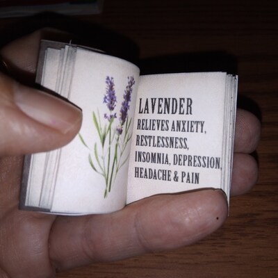 Herb Lore Mini Book, Mini Album, Potion Book, Potion Label, Scrapbook ...