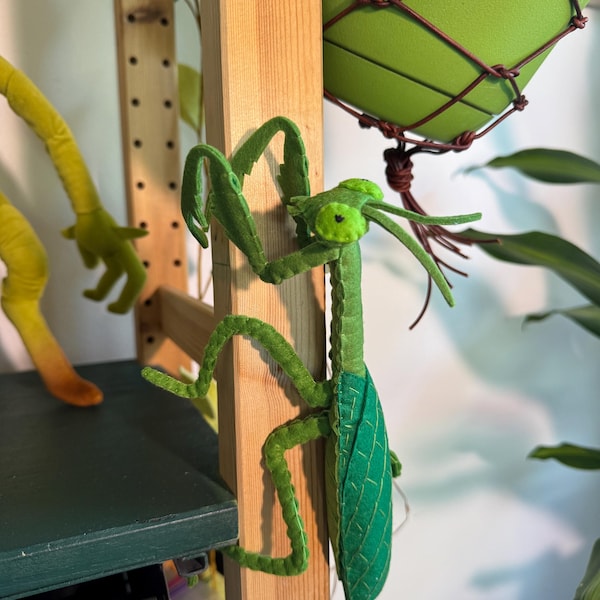 Felted Stinkbug Toy Realistic Beetle Felted Toy Young Naturalist Gift ...