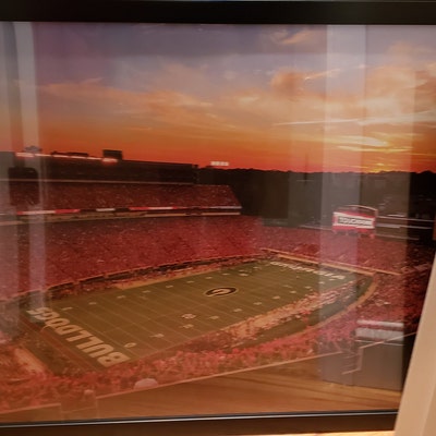 UGA Georgia Bulldogs Decal Sticker: Uga X Mascot Endzone Premium Photo ...