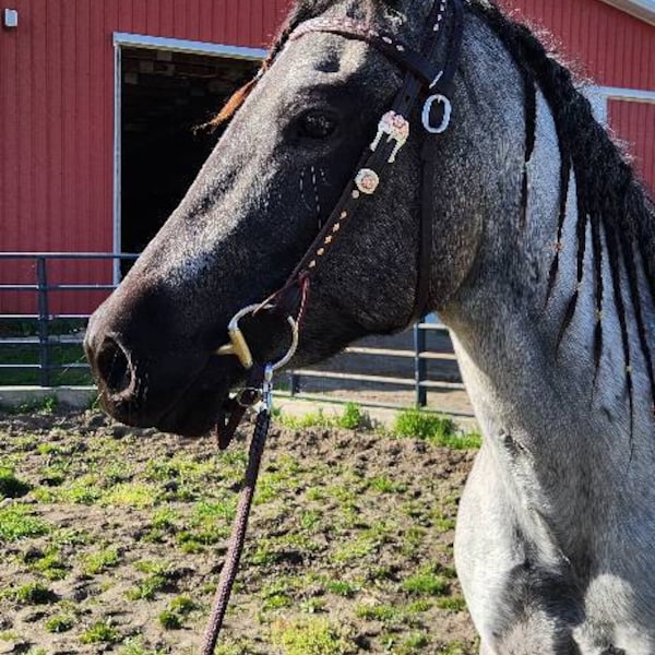 Wool Mule Tape Halter, Handmade, Mule Tape Bronc Halter, Horse Tack ...