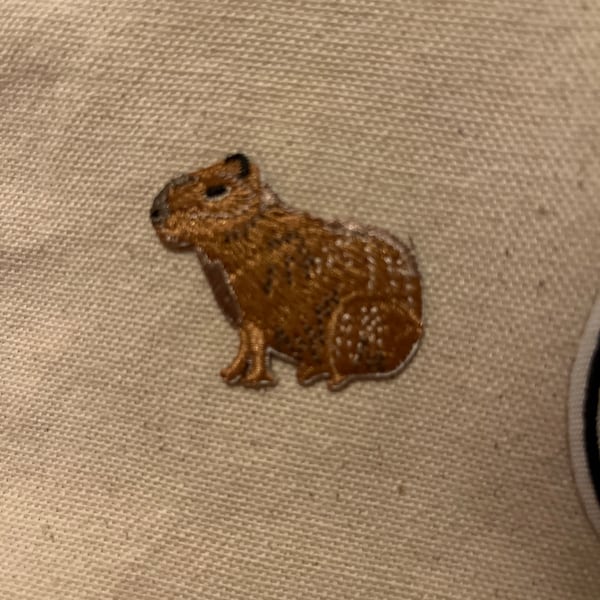 Iron-on Capybara Patch/nature Animal Badge/capybara Badge/decorative Patch/diy Embroidery ...