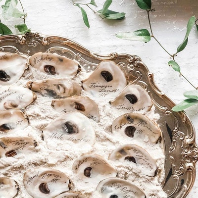 Atlantic Horseshoe Crab Shell With Tail and Legs Intact Naturally ...