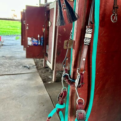 Yacht Rope Sport Mecate Reins W Poppers Use With Slobber Straps Snaffle ...