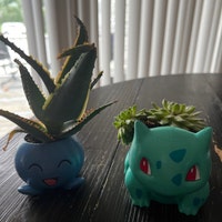Bulbasaur pintado y maceteros extraños con suculentas/cactus vivos Dos ...