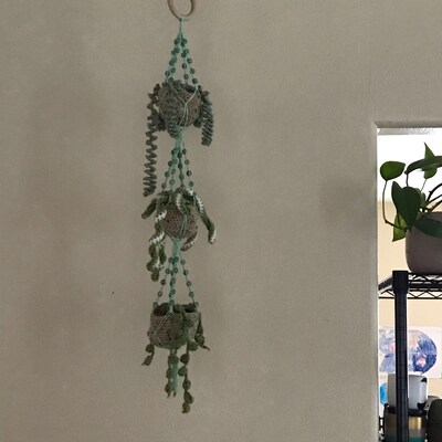 Crochet Spider Plant - Etsy
