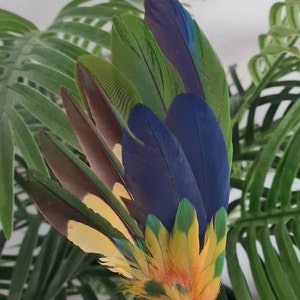 Majestic Genuine Wedged Tailed Eagle Wing Feather Approved Licence ...