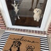 Personalized Dog and Cat Gift, Welcome Mat Cats and Dogs, Custom Dog ...
