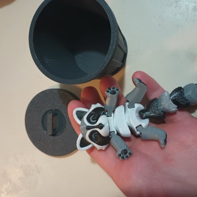 Extra Chunky 3D Printed Articulating Raccoon - Etsy