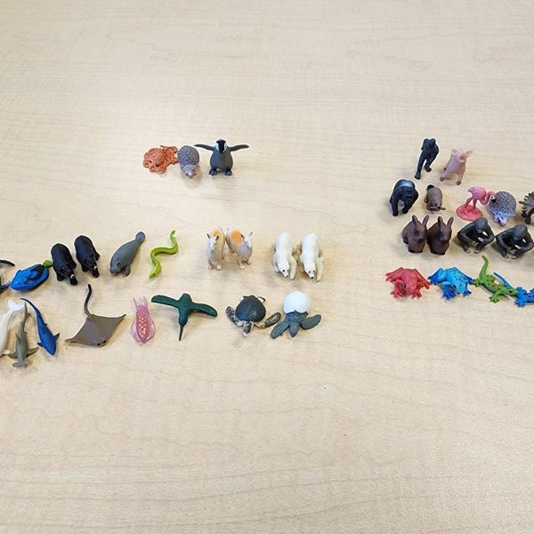 Set of Miniature Animals - Choose Any Set Terrarium Supplies Teeny Tiny ...