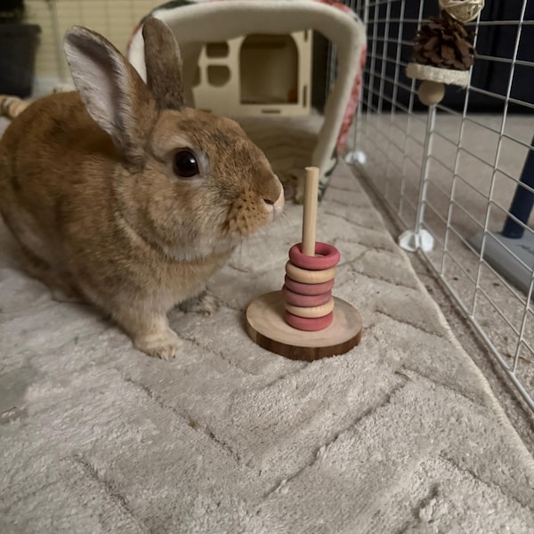 Ring Toss Rabbit Foraging Toy, Small Pet Gift for Bunnies, Guinea Pigs ...