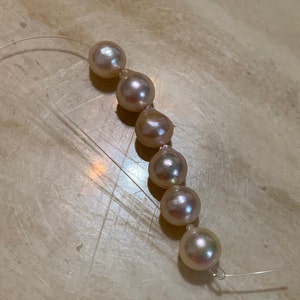 16.9x14.0mm Natural Deep Sea Angel Skin Color Coral Oval | Etsy