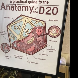 Anatomy of the D20 Poster | Dungeons & Dragons | Gifts for Geeks ...