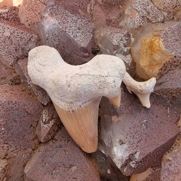 Rough Jet, Large Raw Jet, Rare Specimen of Natural Jet Spain, Healing ...