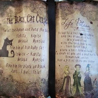 The Grand High Witch Formula 86 Delayed Action Mouse-maker Spell Book ...