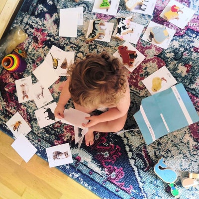 WILDLIFE Animals North America Safari TOOB Montessori Nomenclature ...