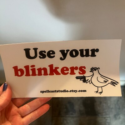 Funny Weird Gen Z Bumper Sticker, a Witch Turned Me Into a Car, 7.5 X 3 ...