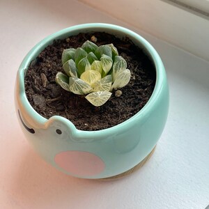 Female Head Face Ceramic Planter Pot Black Small With Drainage | Etsy