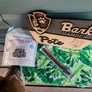 National Forest Service Welcome Sign ACRYLIC NFS Inspired Family Name ...