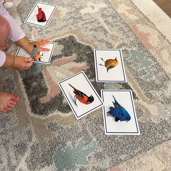 Water Transportation Montessori Language Cards - Etsy